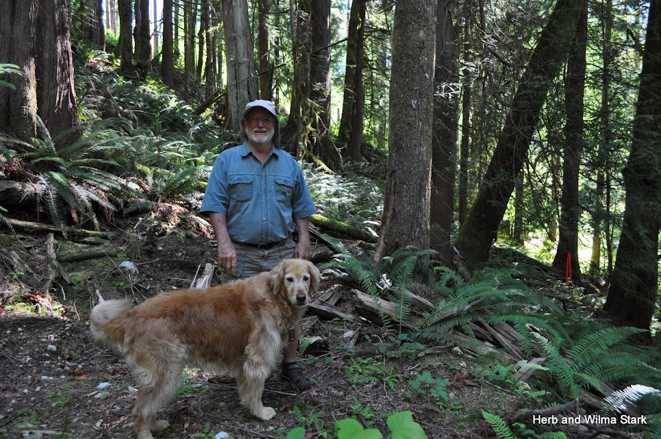 And Willie Said: Exploring Homfray Lodge - 8/3/2012