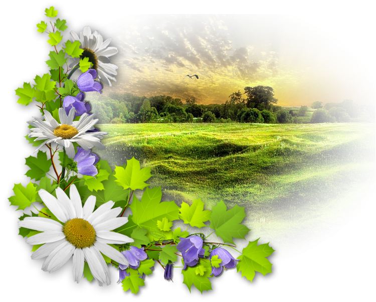 Tvoření: Obrázky PNG