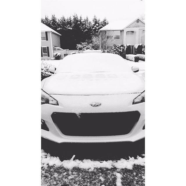 Danni Meow (Phatcatsama)