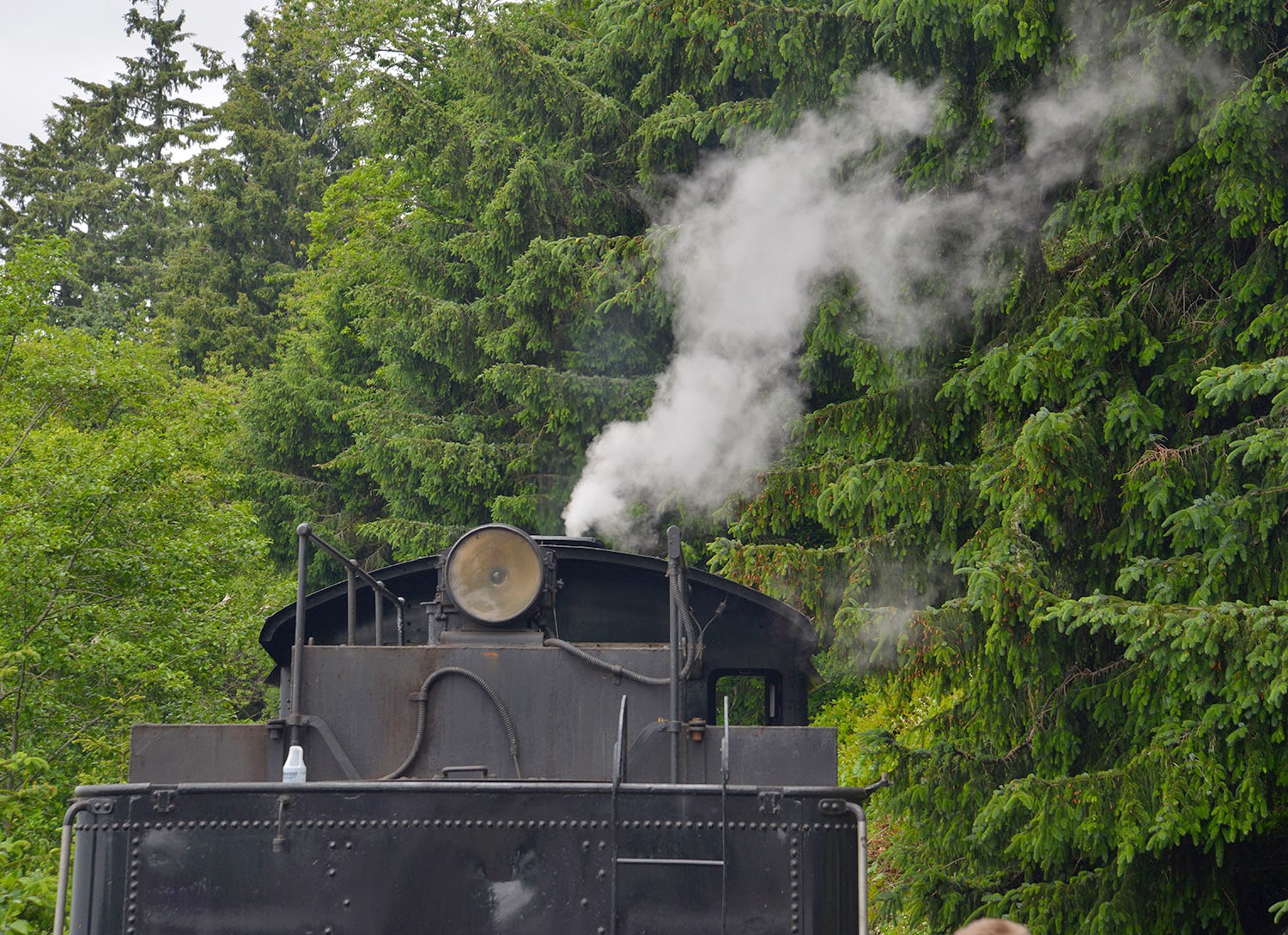 A school of fish: Oregon Steam Train