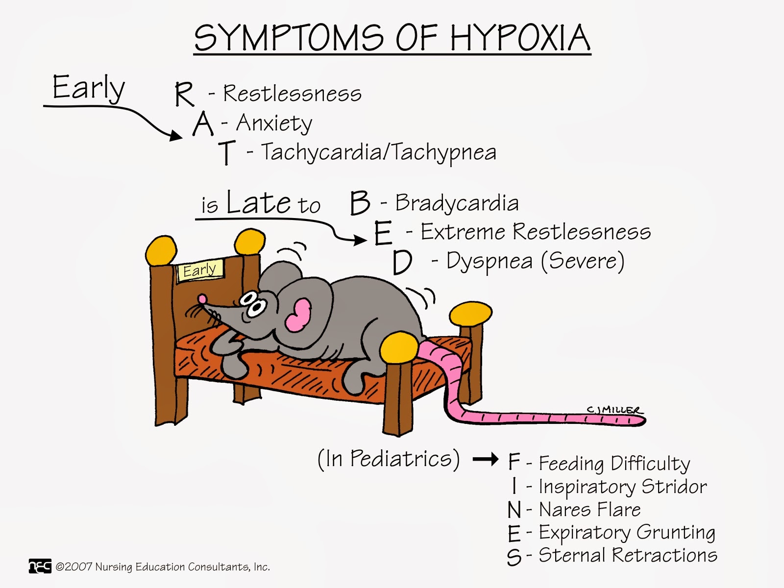 Nurses Notes: MS Nursing MNEMONICS 2