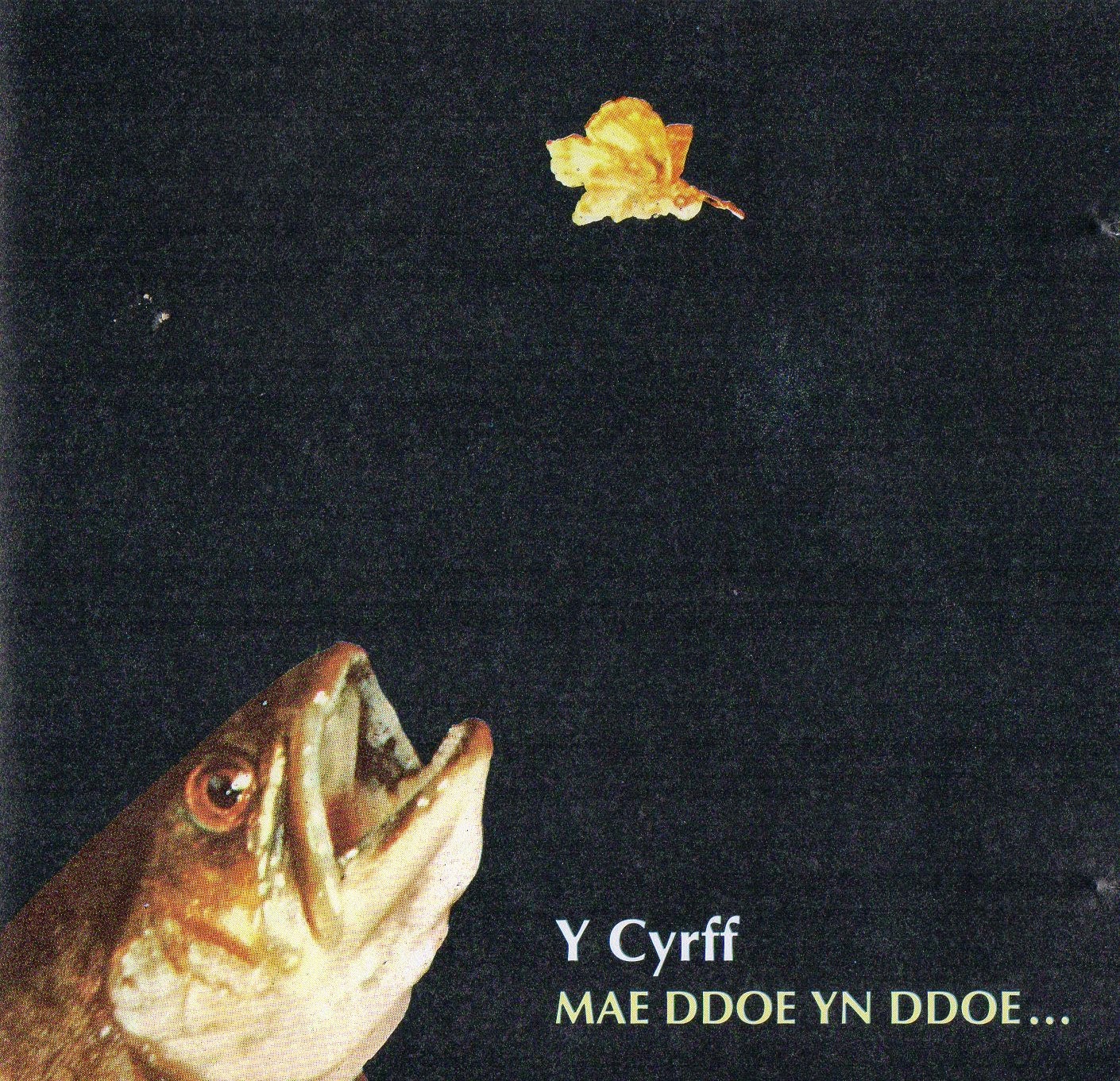 Thoughts of Chairman Mwyn: The Value of Welsh Pop Heritage / Culture ...