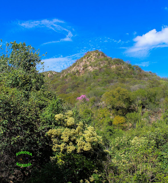 Resumen fotográfico Día del biólogo