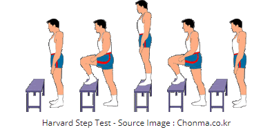 Cara melakukan " Harvard Step Test
