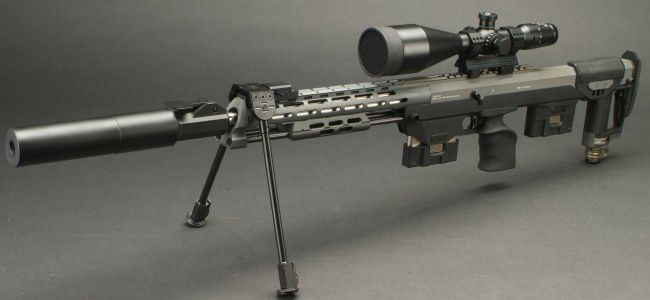 DSR-precision DSR 1 sniper rifle (Germany)
