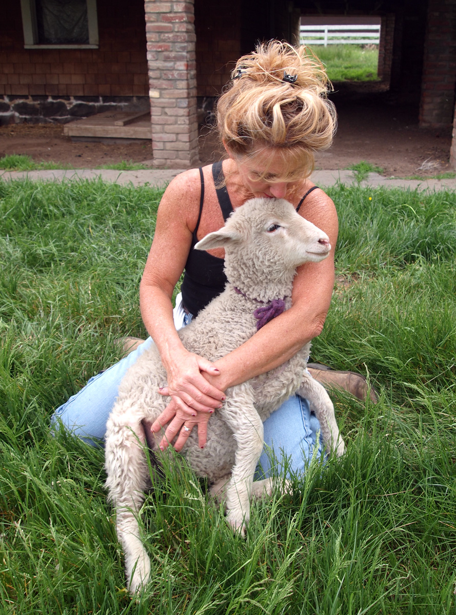 Fancy Tiger Crafts: A Wooltastic Visit to Imperial Stock Ranch--Shaniko ...