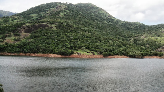 Tamilnadu Tourism: Adavinainar Dam, Sengottai, Thirunelveli