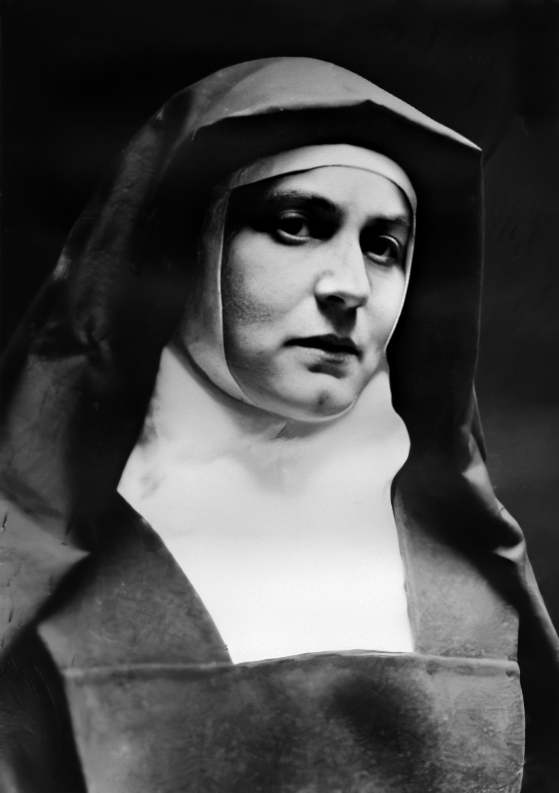 La diversidad: Por que Edith Stein me atrai tanto: um relato sobre a ...