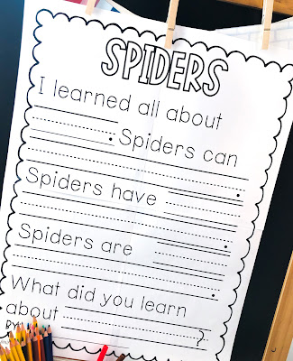 Spiders Main Topic and Key Details Interactive Read Aloud | The ...