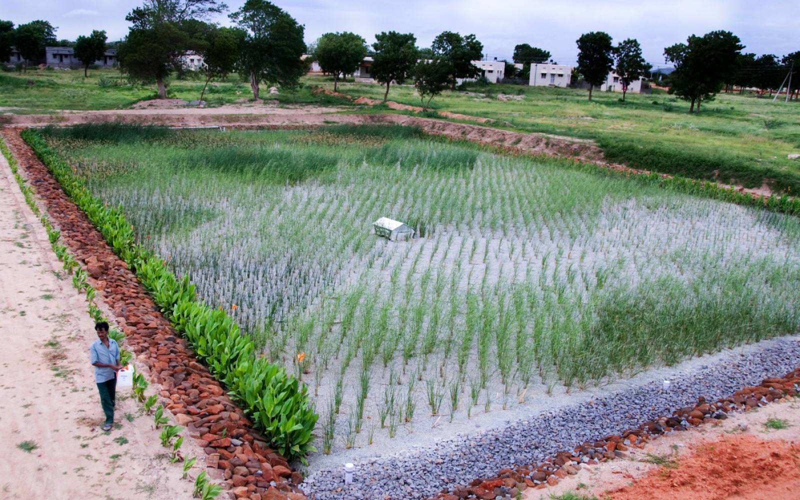 ¿CÓMO FUNCIONA UN HUMEDAL ARTIFICIAL?