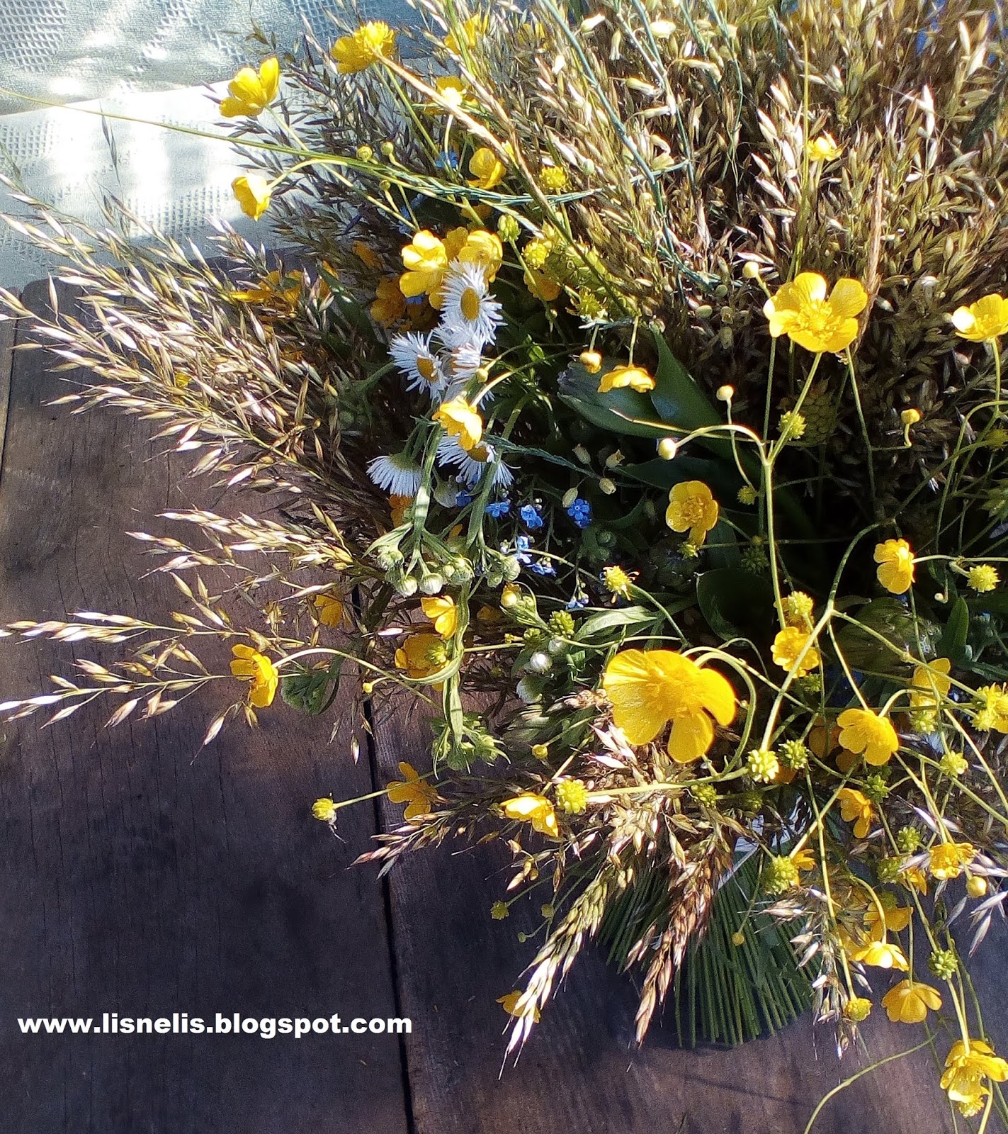 LisNelis: Pievų gėlės