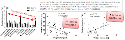 Lactobacillus vs. Oscillibacter! Does (Saturated) Fat Tip The Scale ...