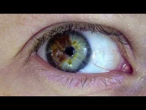 biokinesis APRENDE A USARLA