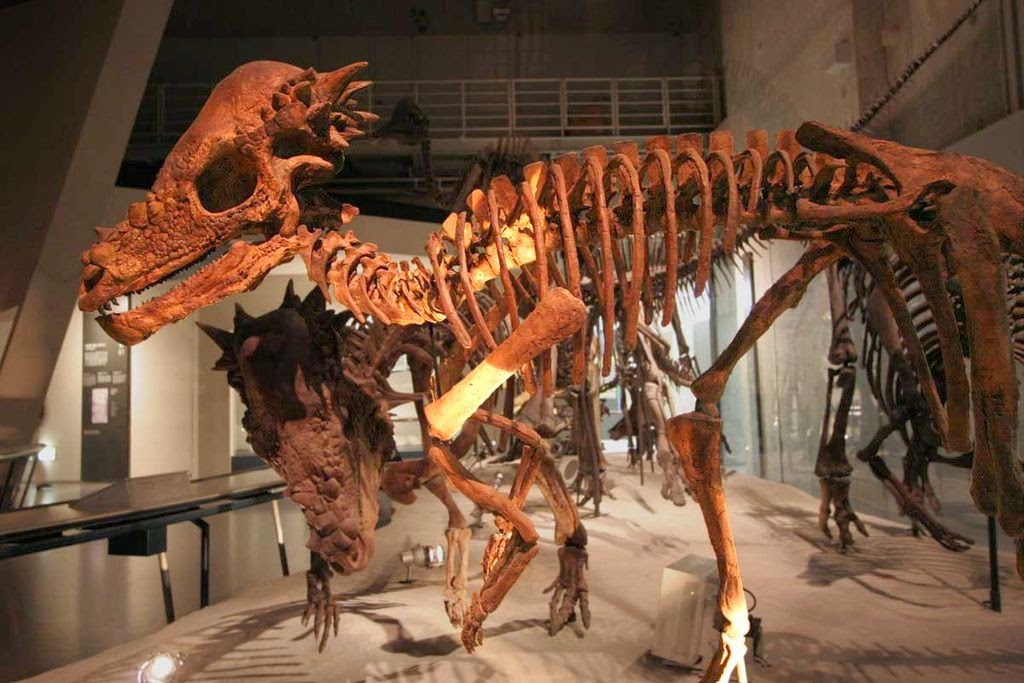 Dinosaur Renaissance: Aprende con Primeval: Pachycephalosaurus