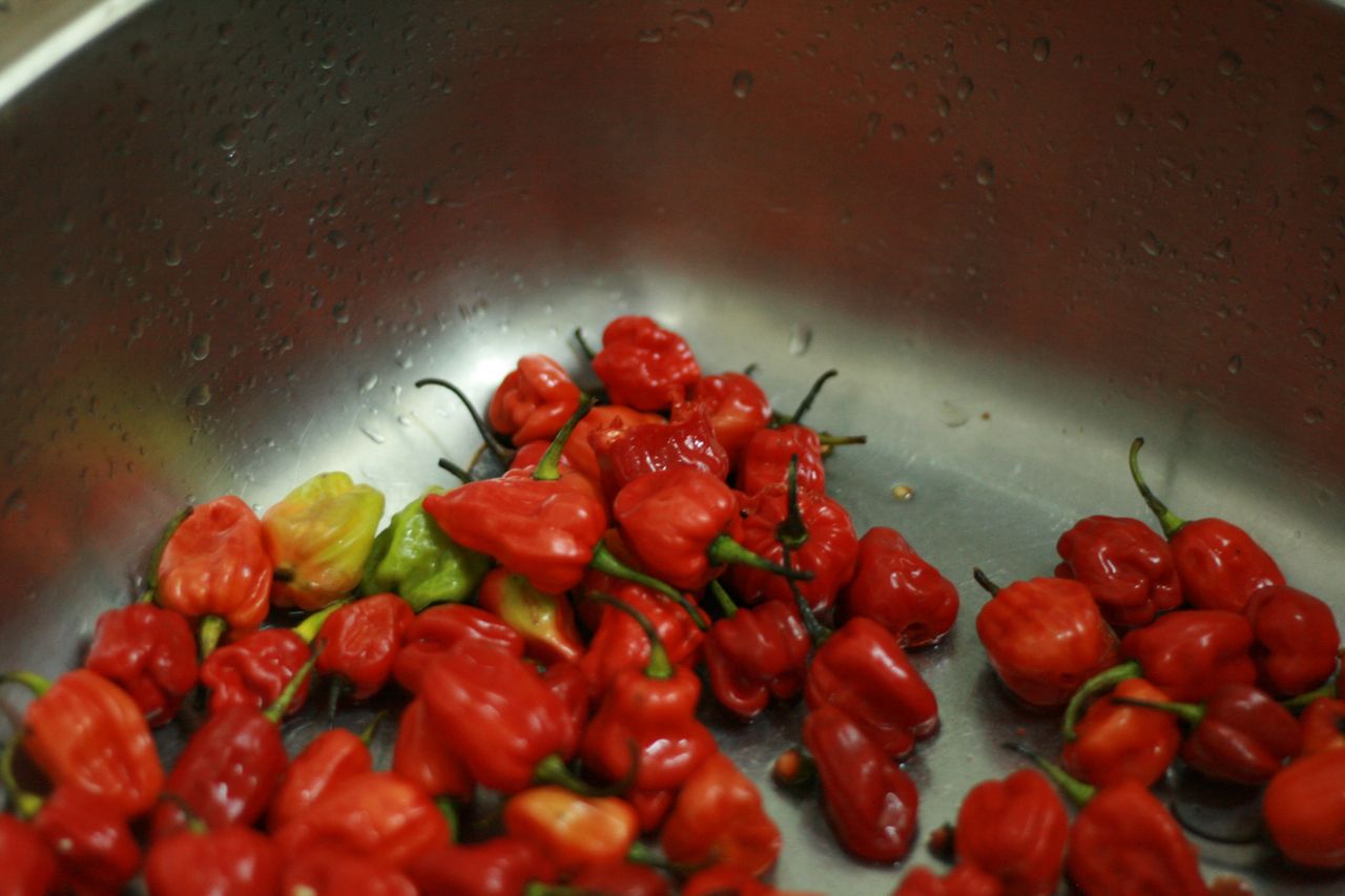 mama congo: Cooking with the Mamas: Pili-Pili Sauce