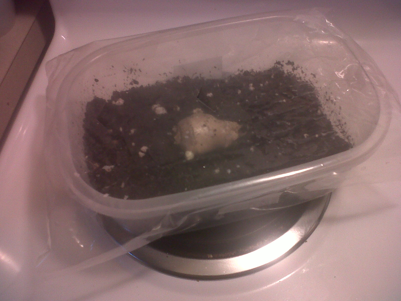 Live, Love, Climb!: Ginger Propagation