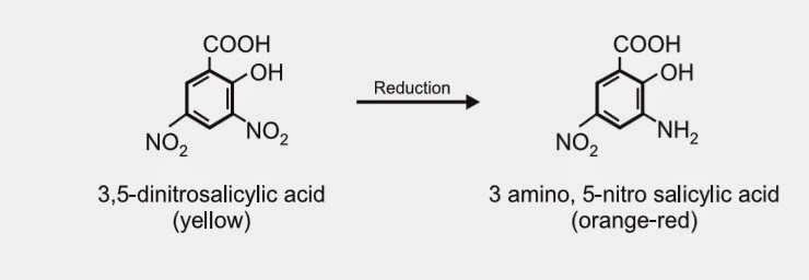 BIOLOGY WRITE-UP - BIOLOGY ARTICLES: Estimation of reducing sugar by ...