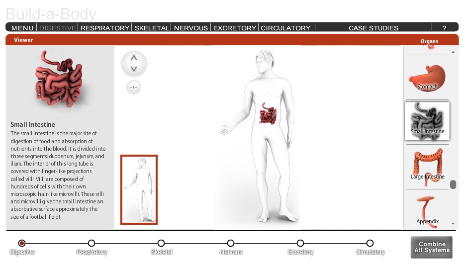 Tecnología habitual: Construir un cuerpo humano online