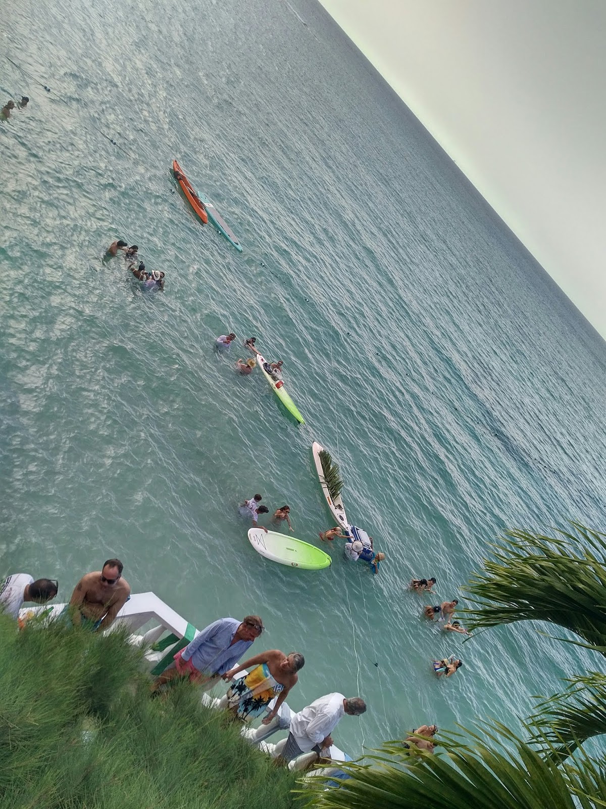 dready soaking for the sea | Dready, Dready Art and Everything Dready