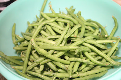 Deep South Dish: Slow Cooker Fresh Green Beans