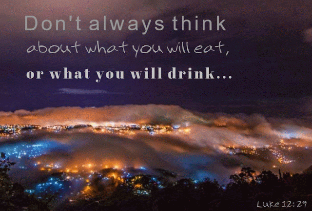 Chronicle of Mind: Seeking After God