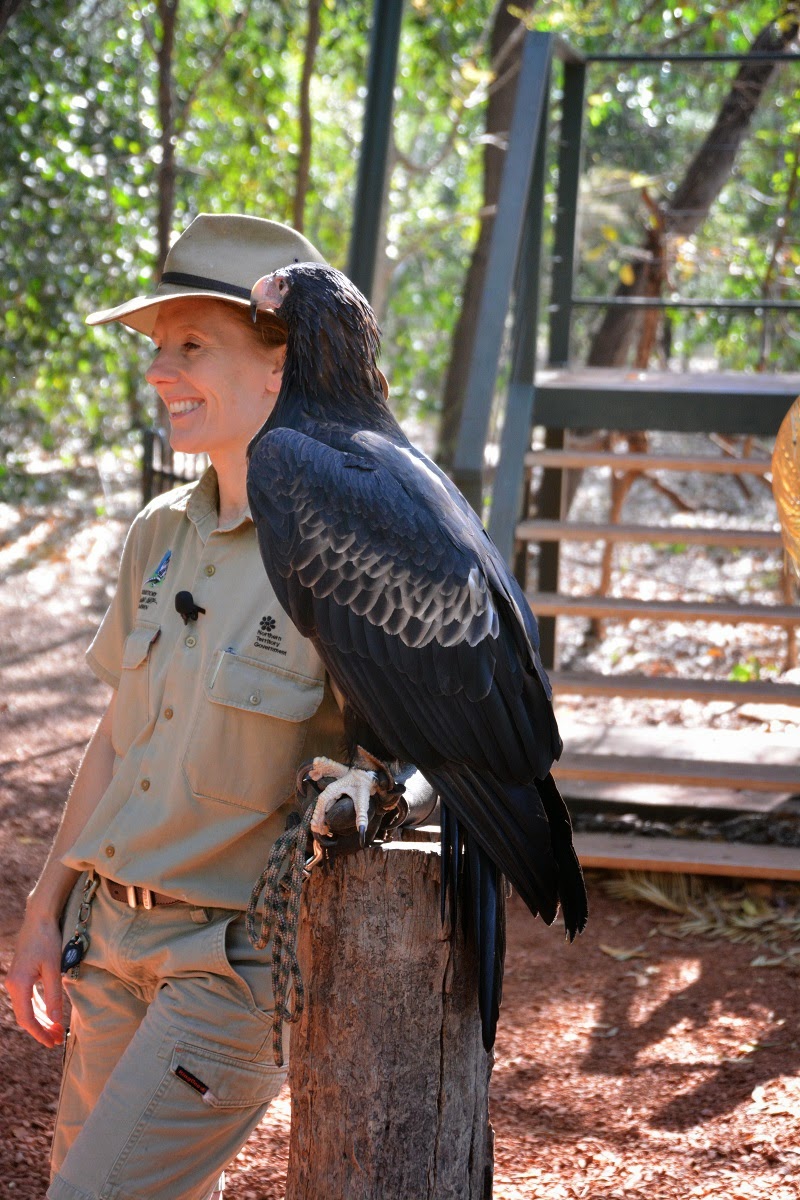 gohavealook: WE ARE IN DARWIN WEEK 2