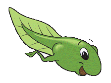 KTemoc Konsiders ........: Tadpoles on trial