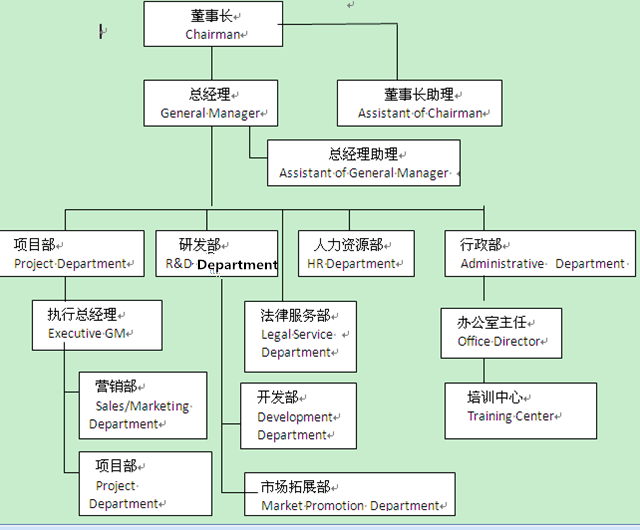 Organizational Structure of the Chinese Company