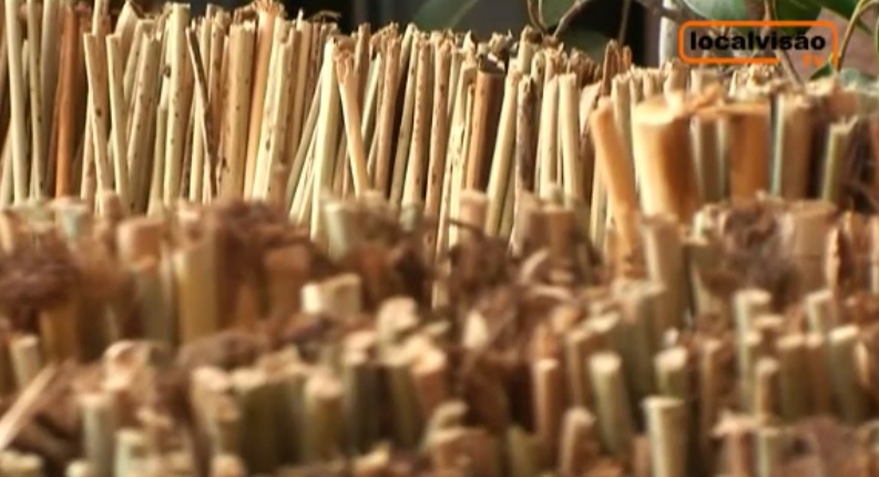 Blog de Albergaria: Natália de Jesus preserva a tradição das esteiras ...