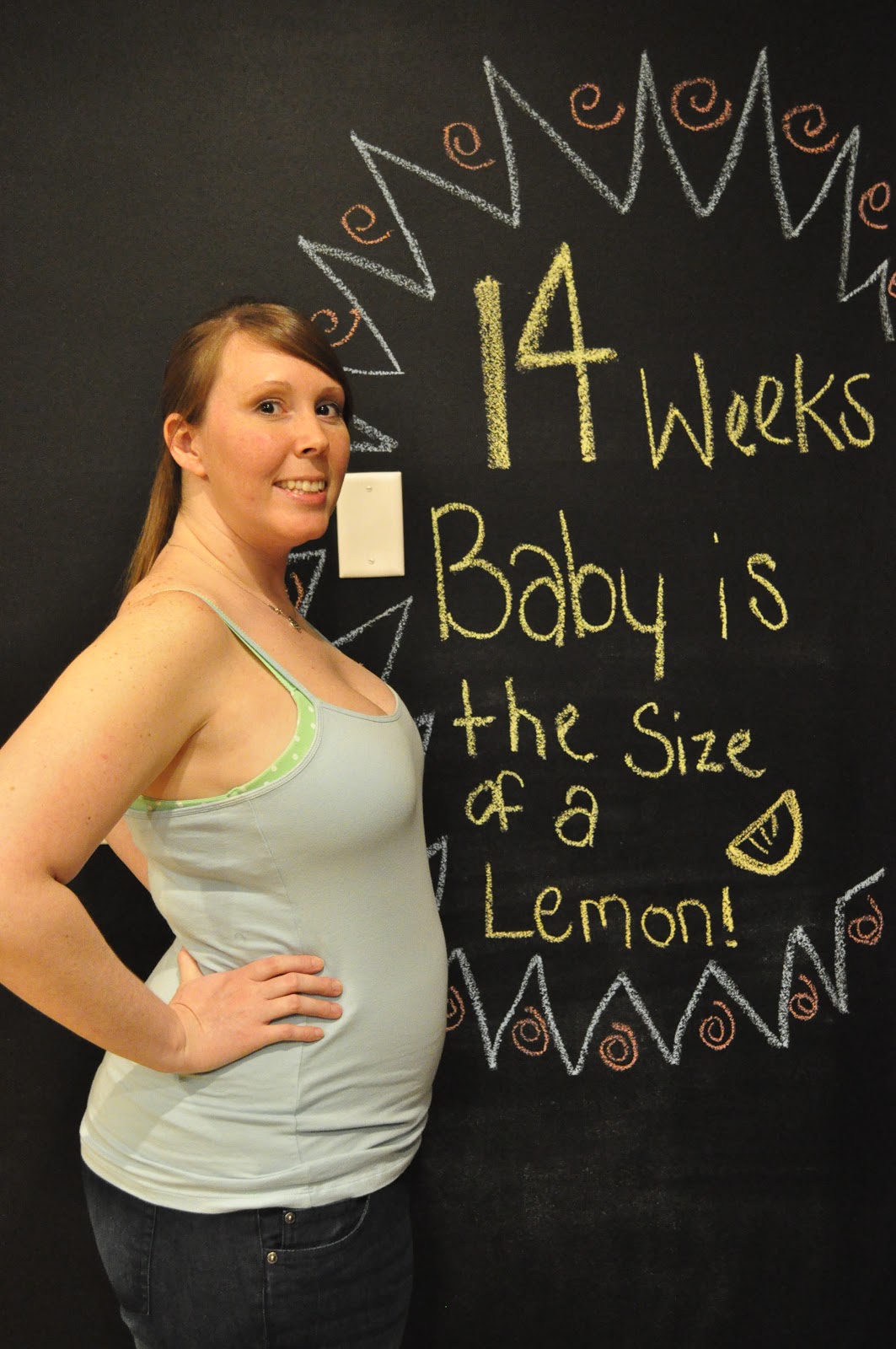 Our Little Nest: Intro, pregnancy update, etc :)