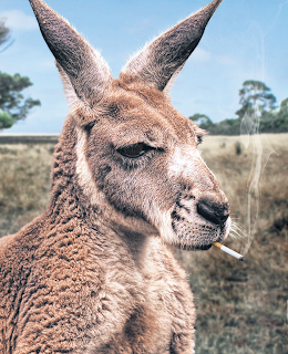 Nannying Tyrants: Sunday Funnies