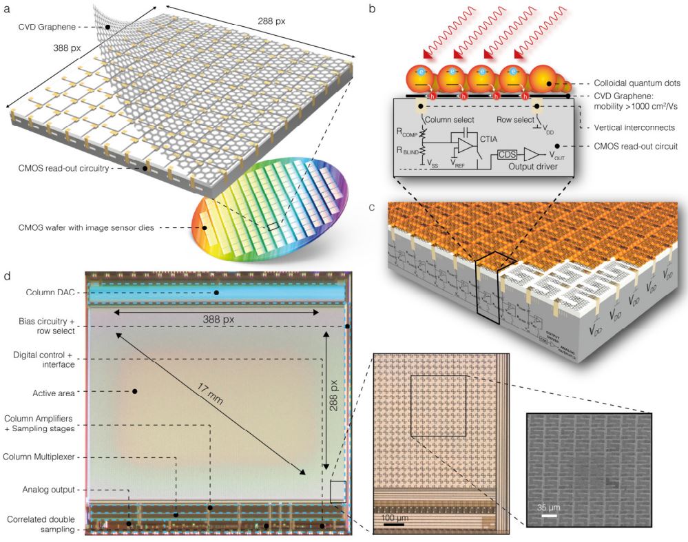 Image Sensors World: World's First Graphene Integration onto CMOS Image ...