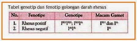 BIOLOGI GONZAGA: GOLONGAN DARAH