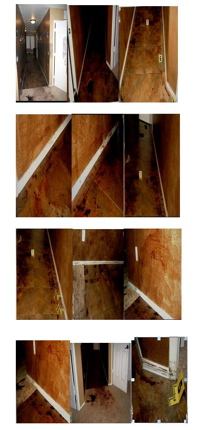 Morbitbuzz: The Crime Scene! It's a bloody mess!!