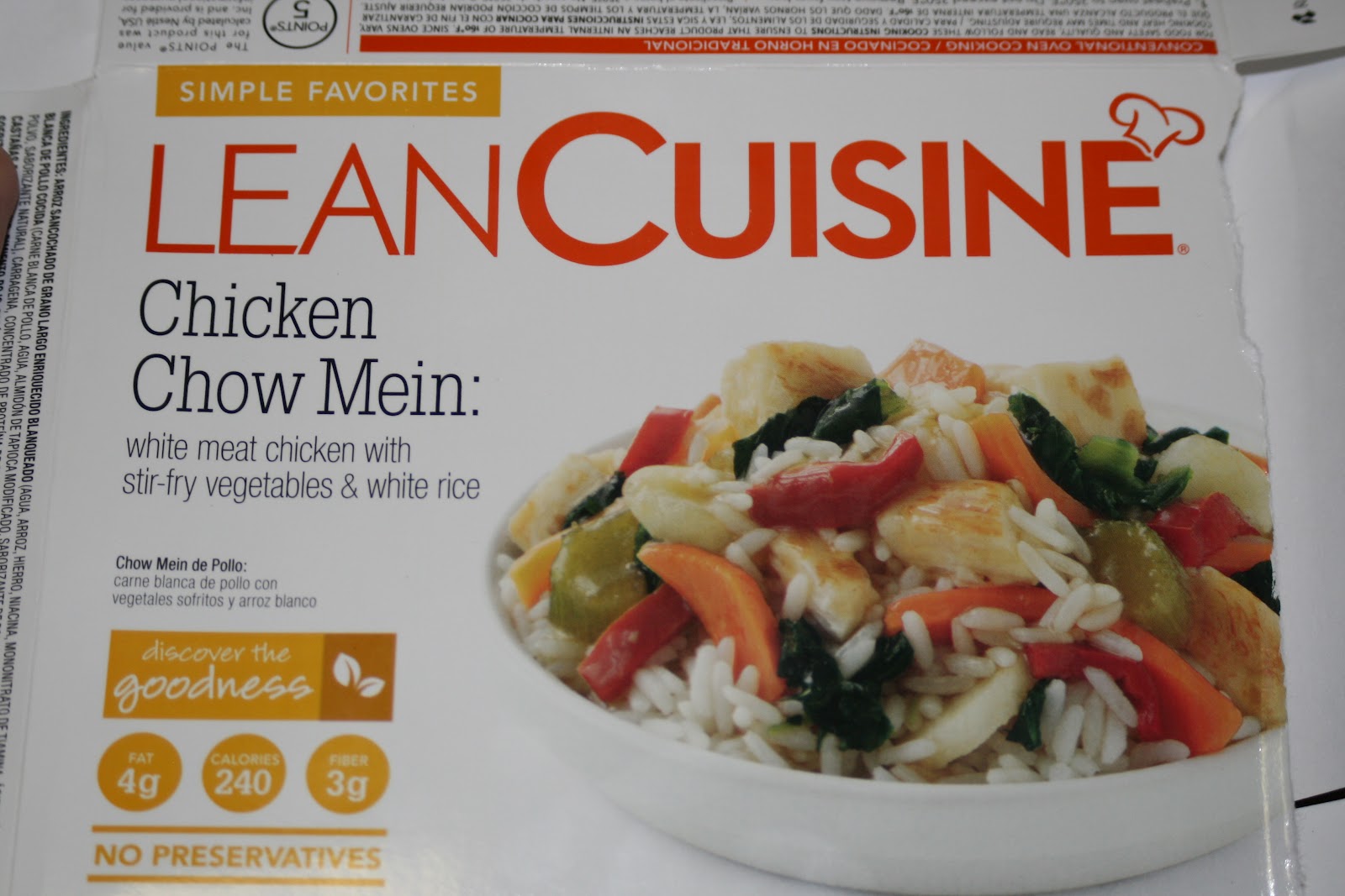 Forsythkid: Critique: Lean Cuisine Chicken Chow Mein!