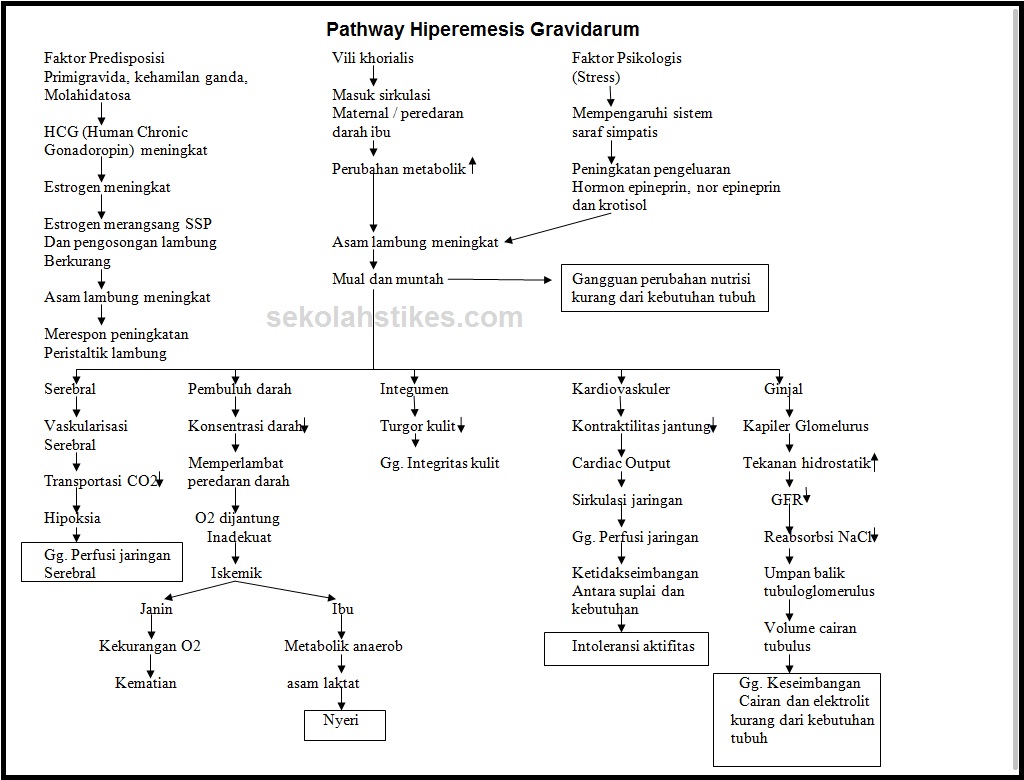 Patofisiologi dan Pathway Hiperemesis Gravidarum Bisa diedit Format ...
