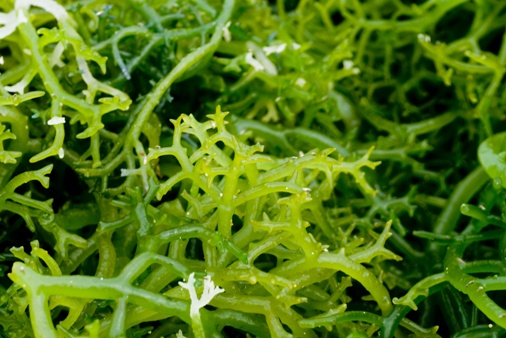 Fashion.: kwietnia 2011