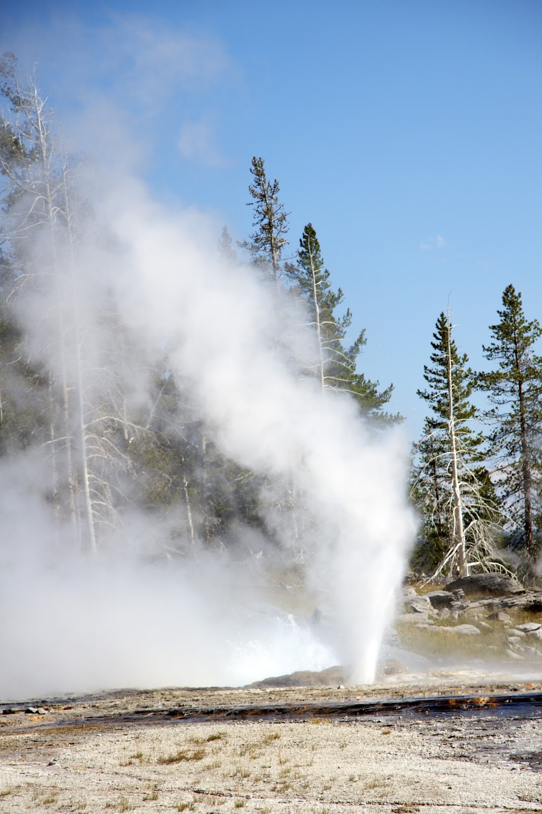 Adventures with Dave and Dimples - Glamping Airstream style: GEEZER ...
