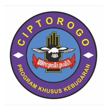 PPS BETAKO MERPATI PUTIH: Sejarah Program KEBUGARAN