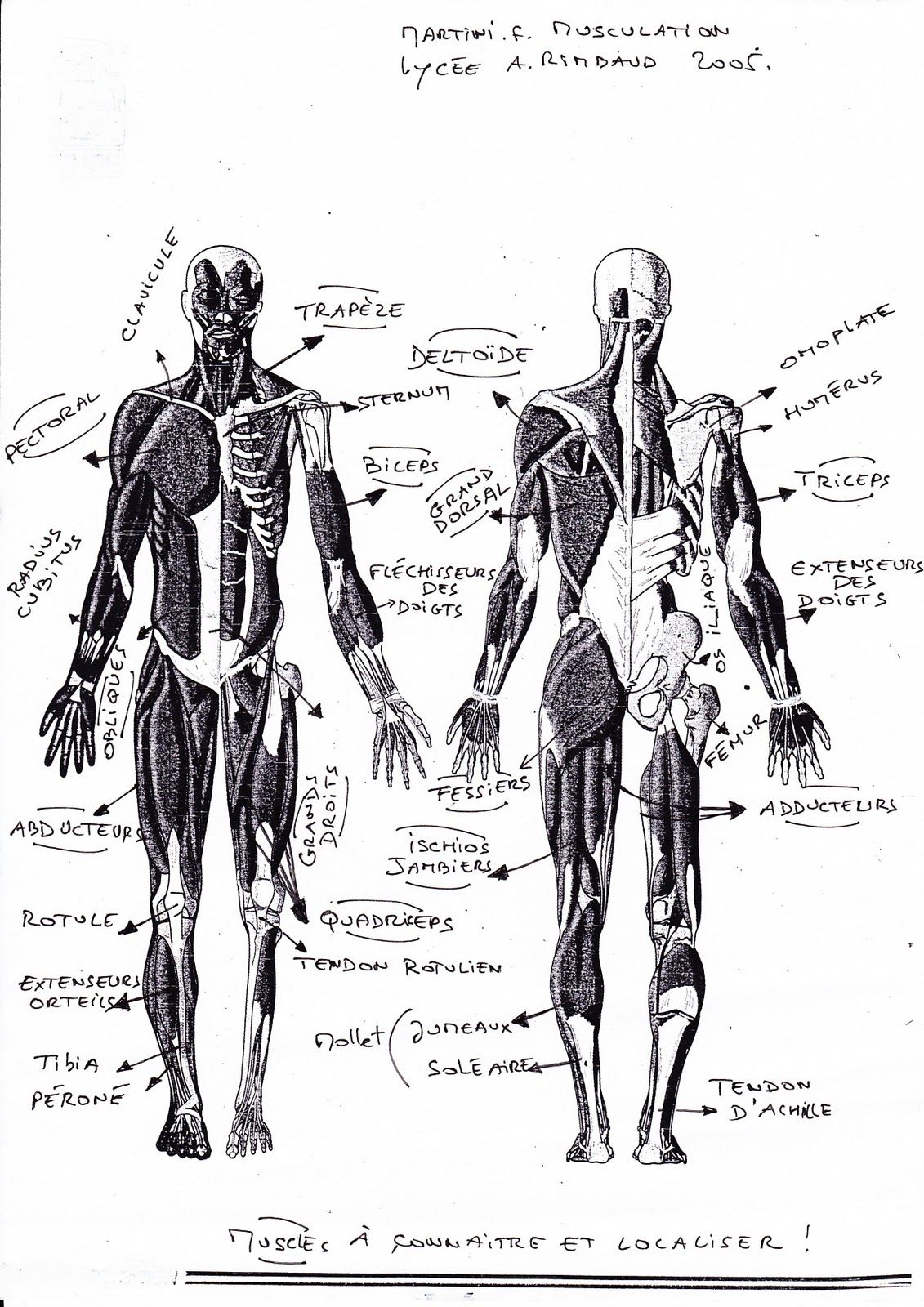 EPS au lycée Rimbaud d'Istres: Modalités et dossier Evaluation ...