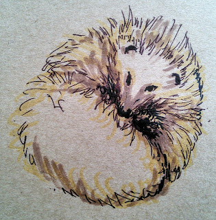Create A Drawing A Day: Hedgehog