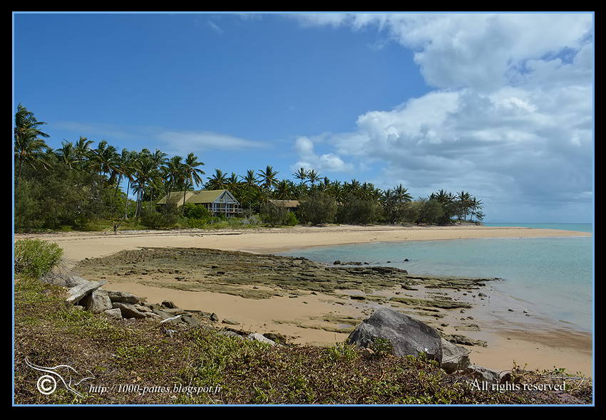 WILDLIFE GATEWAY: Brampton island, Australia