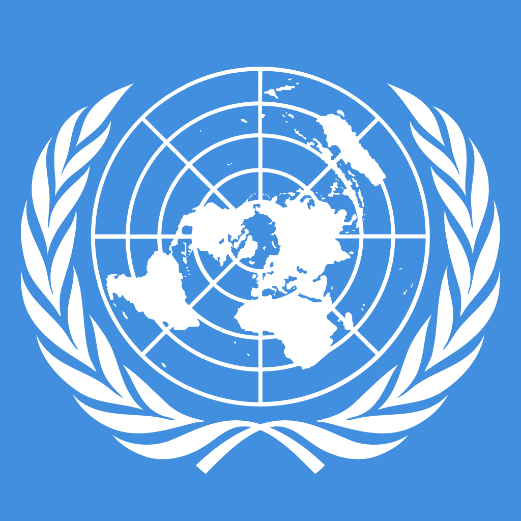 THE UNITED NATIONS ORGANIZATION