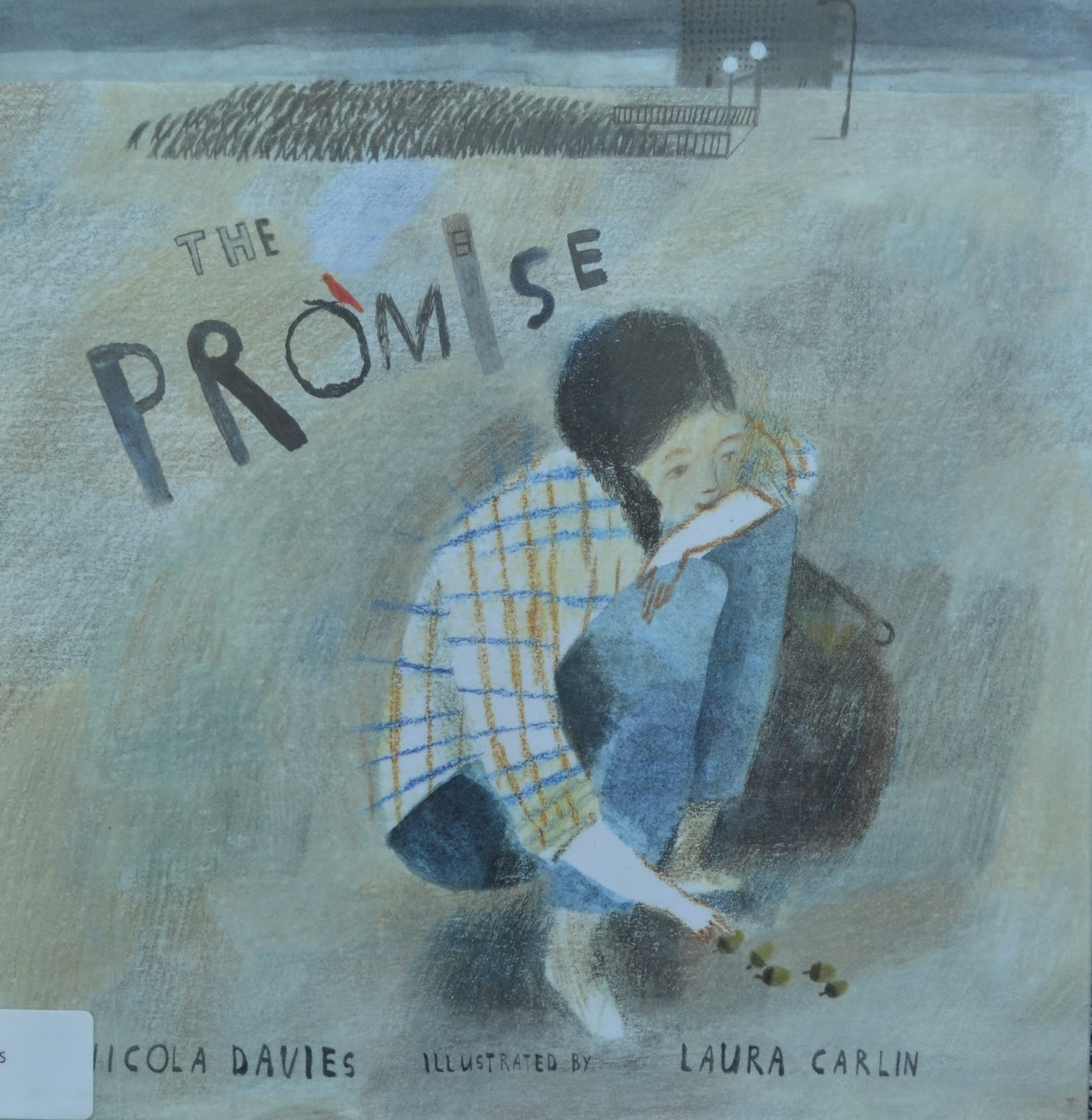 Book Blab - Blithering by a Book Lover: The Promise ~ Picture Book ...
