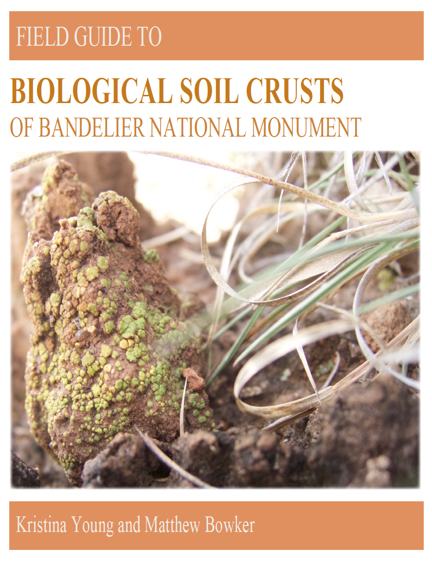 Forest-Rangeland Soil Ecology Lab: June 2017