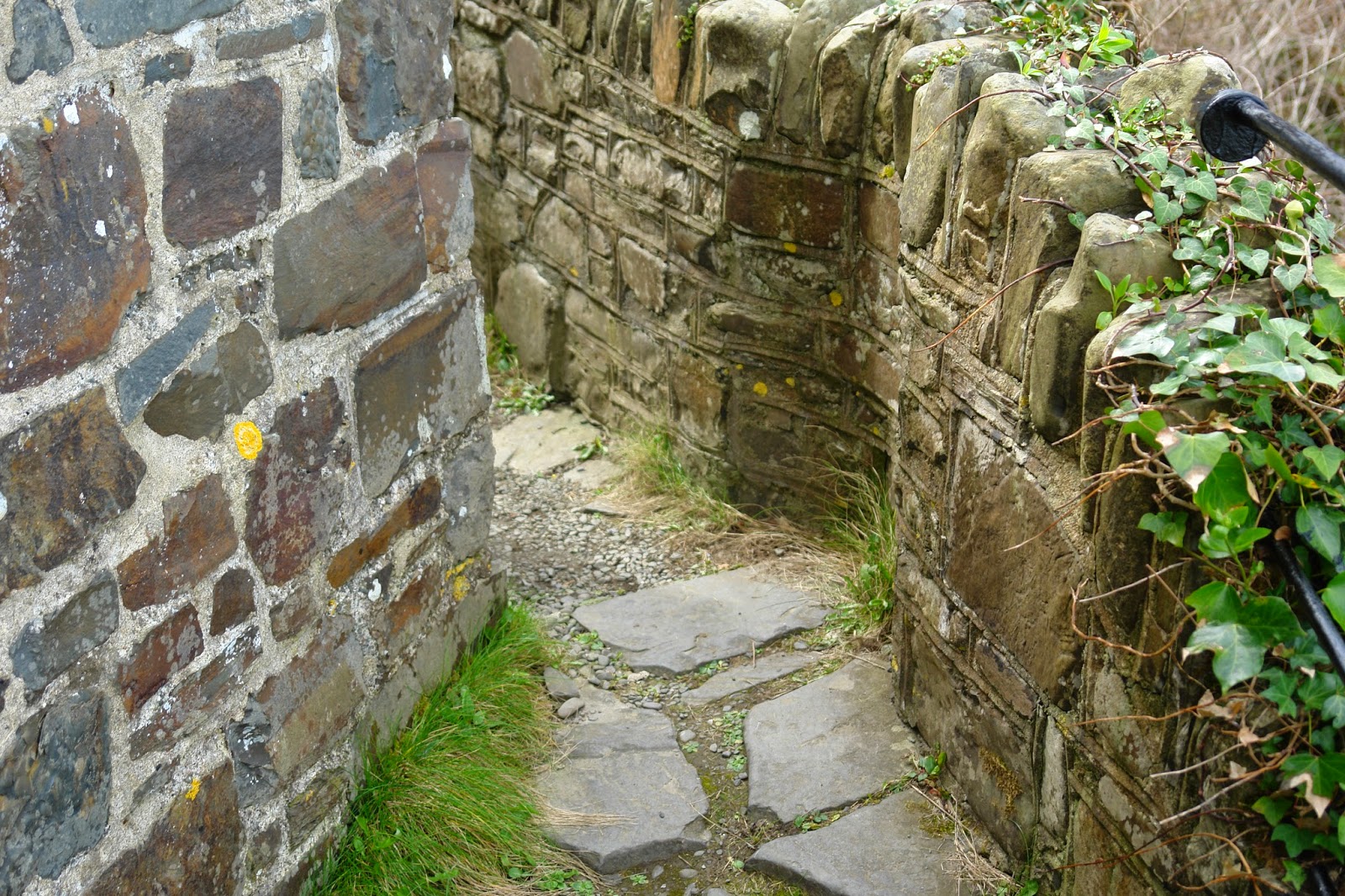 The Cabin, Bucks Mills - Open Day April 2015 | J U M