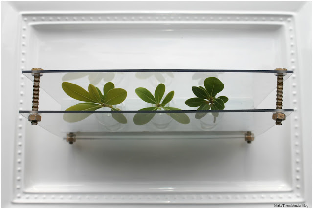 Make Them Wonder: DIY Acrylic Display Case
