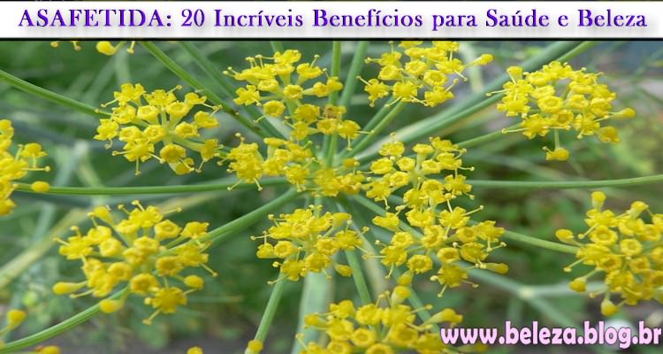 Latinas de Ayer: Aromas del Ayer: Madame Gres, la Esfinge de la Moda y ...