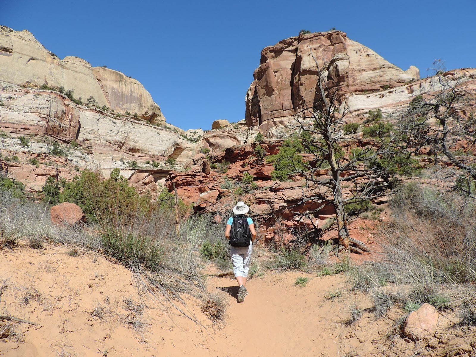 Travel with Kevin and Ruth: Utah...possibly our favorite state?