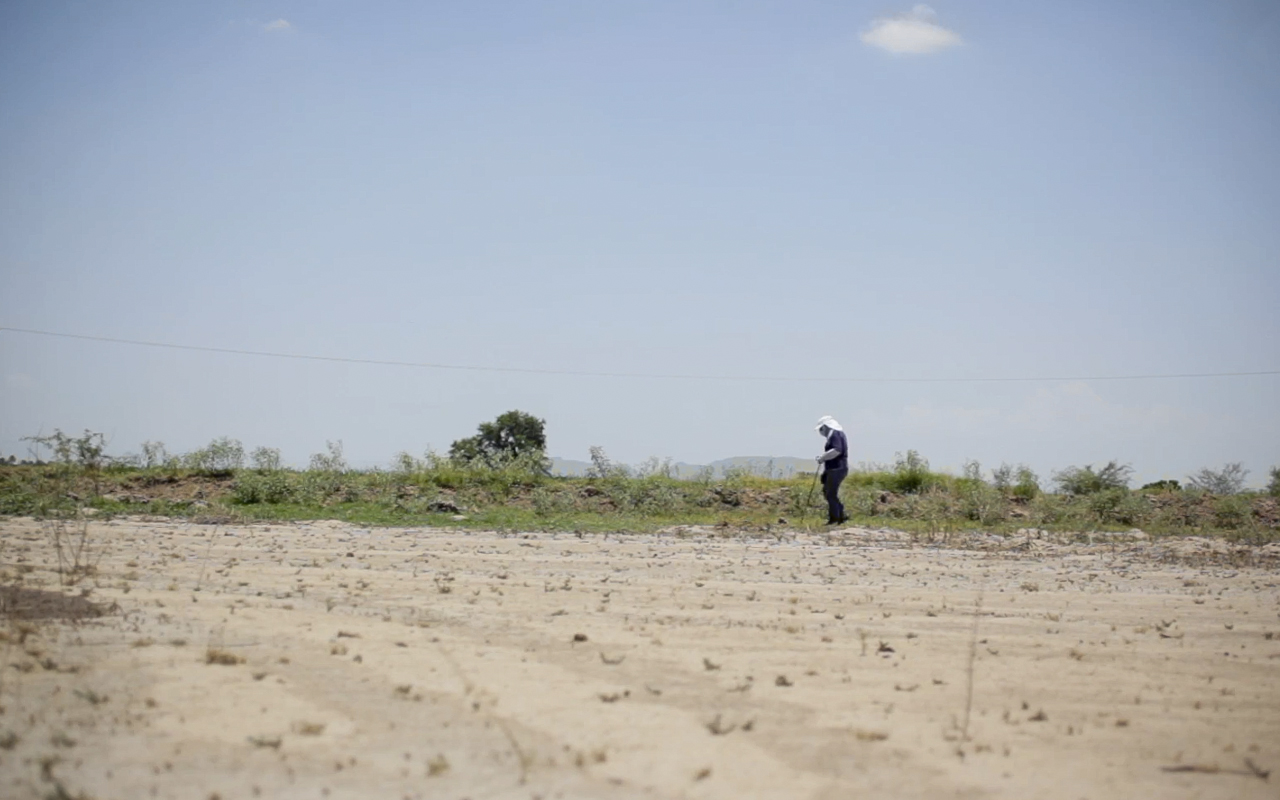 “Estos pedacitos de hueso calcinado son personas”